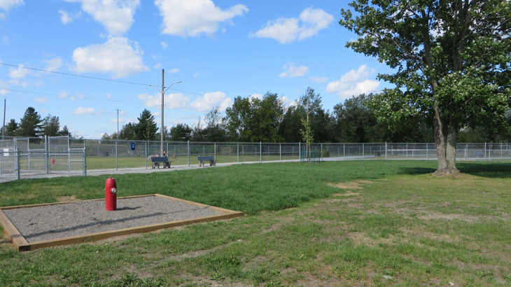 Parc canin - Ville de Magog